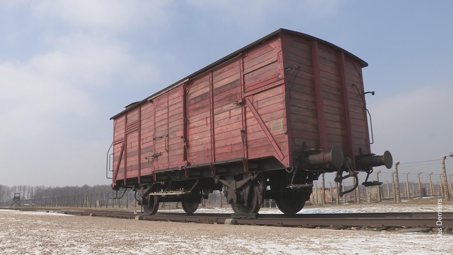 Le wagon à bestiaux - Les derniers survivants de la Shoah : Les ...